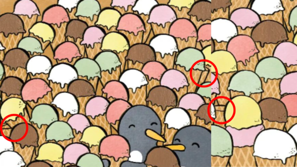 Optical Illusion: 8 seconds eye test: Only those with perfect vision ...