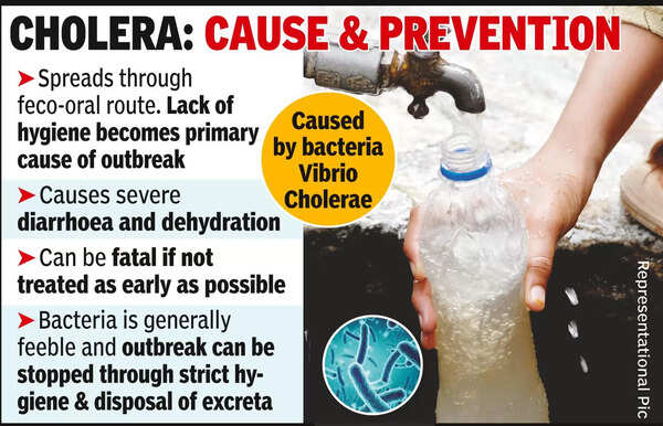 Cholera: Water samples infected with cholera and bacteria in Indore ...