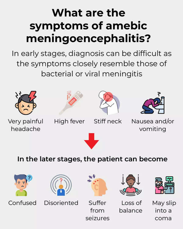 Infographic: Naegleria fowleri: The Brain-Eating Amoeba's Lethal Impact ...
