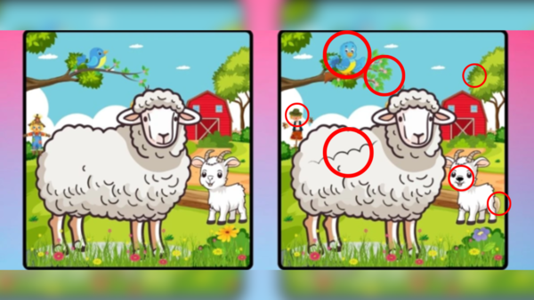 Optical Illusion: Are you a visual genius? Spot the 7 differences in ...