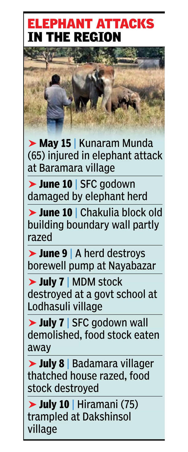 Elephant Attacks: Elephant Rampage in Chakulia: Residents Face ...