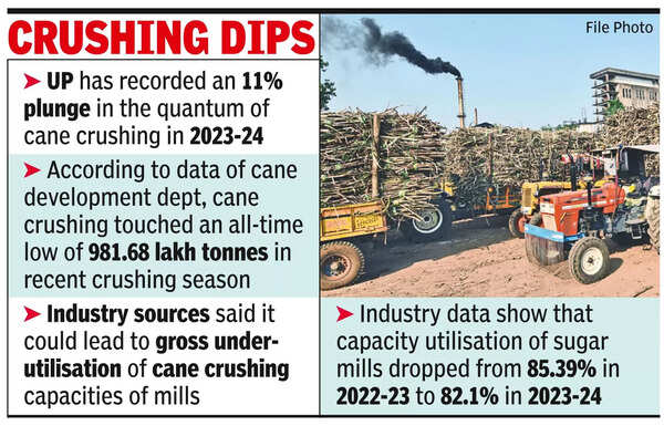 Cane Crushing: Lowest Cane Crushing Recorded in UP Despite Record Rise ...