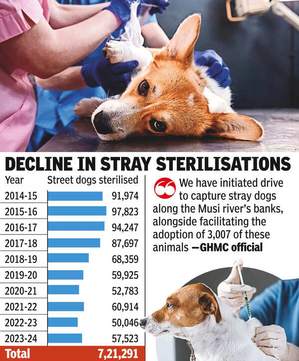 Dog Bite Cases: Hyderabad City Reports 30k Dog Bite Cases Annually | Hyderabad News - Times of India