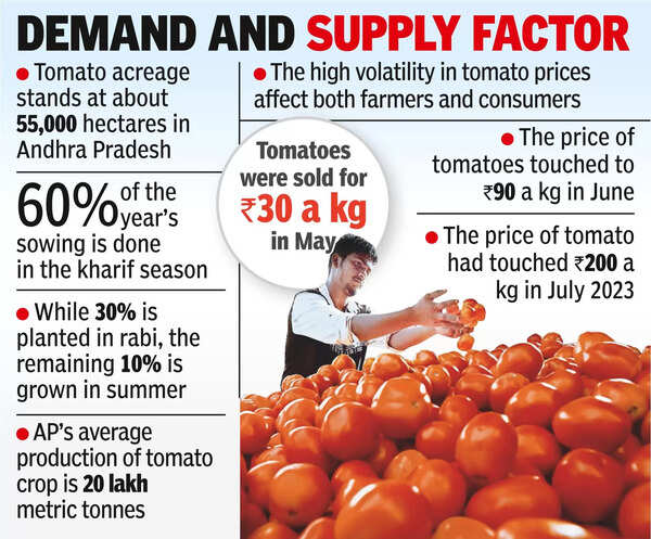Tomato Prices: Tomato prices surge due to inclement weather conditions ...