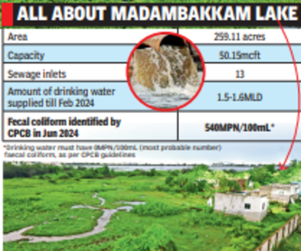 Chennai: Dangerous levels of fecal bacteria found in water supplied in ...