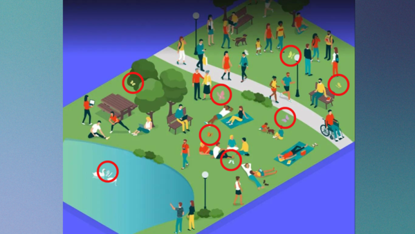 Optical Illusion: Only a nature lover can find 8 beautiful butterflies ...