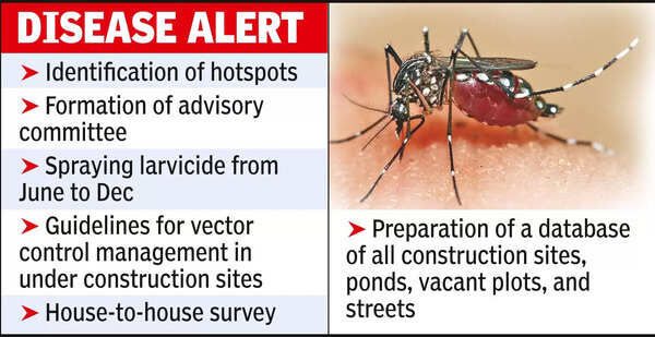 Dengue Control: NKDA's 13-point Action Plan for Dengue Control in New ...