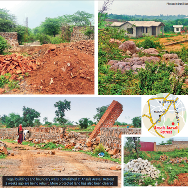 Gurgaon farmhouses back: Raze & rebuild cycle ensures Raisina never ...