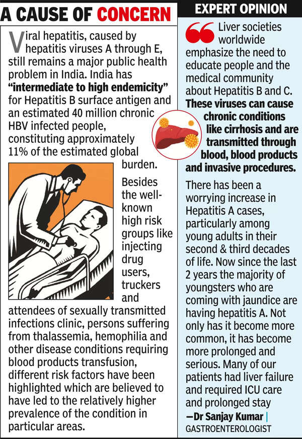 Hepatitis: Docs urge action at hepatitis workshop at BMHRC | Bhopal ...