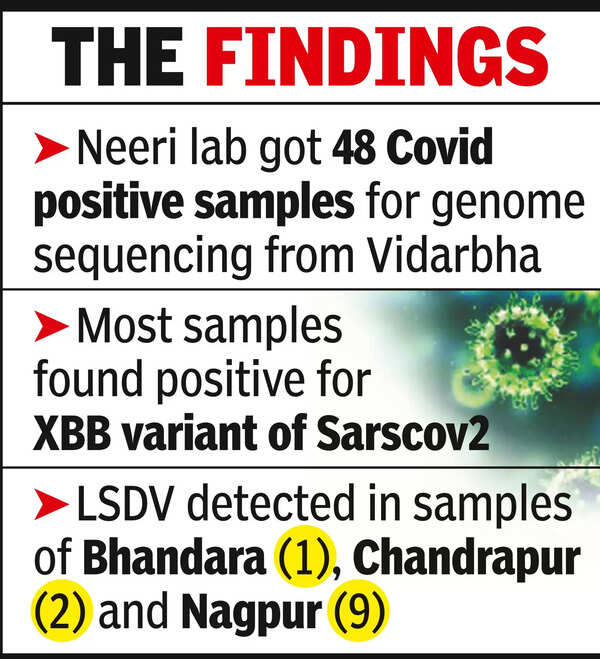 LSDV: DNA traces of LSDV found in humans raise concerns for public ...