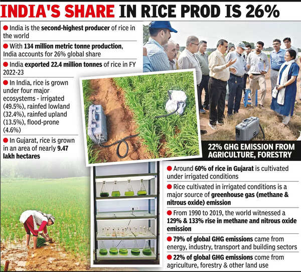 Methane: Scientists Develop Strategies to Reduce Methane Emission from ...
