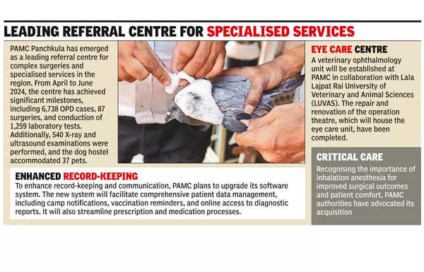 Dialysis Unit: Haryana to Establish Dialysis Unit for Pets at PAMC ...