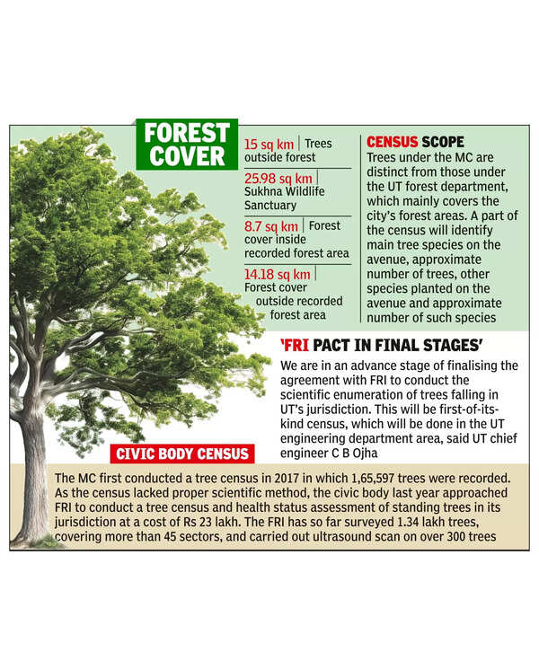 Tree Census: Chandigarh to Conduct Tree Census with FRI Collaboration ...