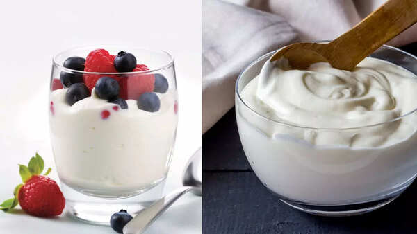 Is it safe to cook or steam curd? Let's find out - Times of India