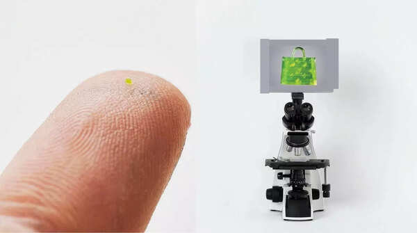 Micro & Mini Bags: The Latest Fashion Trend | - Times of India