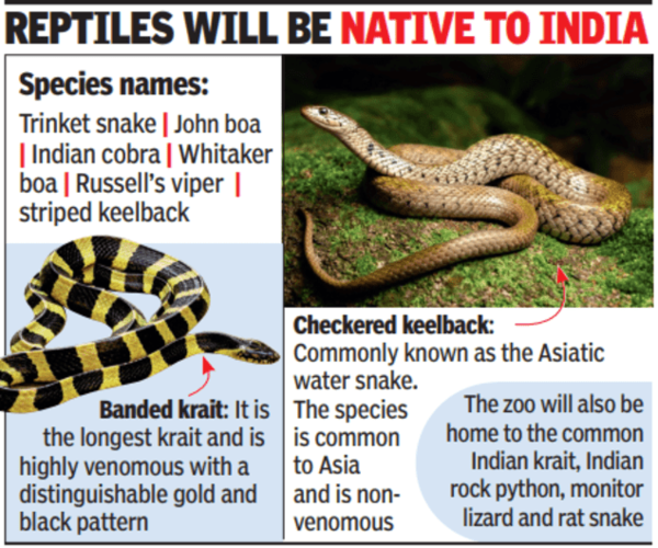 Reptile House: Byculla zoo to introduce reptile house with various ...