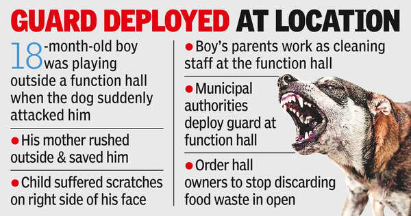 Stray Dog Attack: Toddler attacked by stray dog in Karimnagar, rescued ...