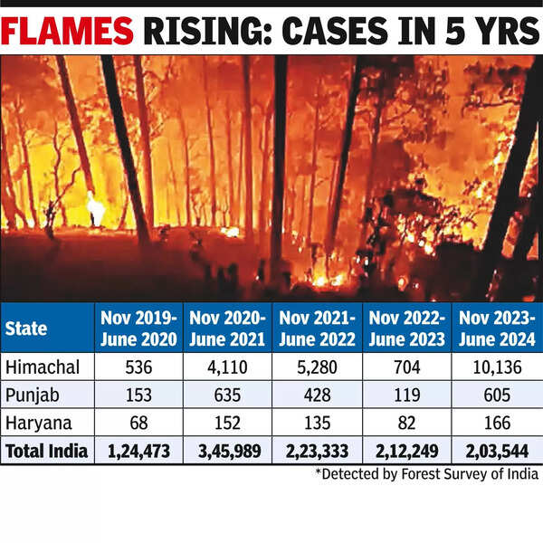 Forest Fires: Himachal Pradesh Records 10,136 Forest Fires in 7 Months ...