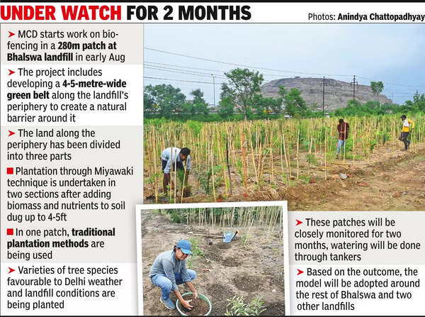 MCD: MCD Implements Bio-Fence at Bhalswa Landfill to Control Dust ...