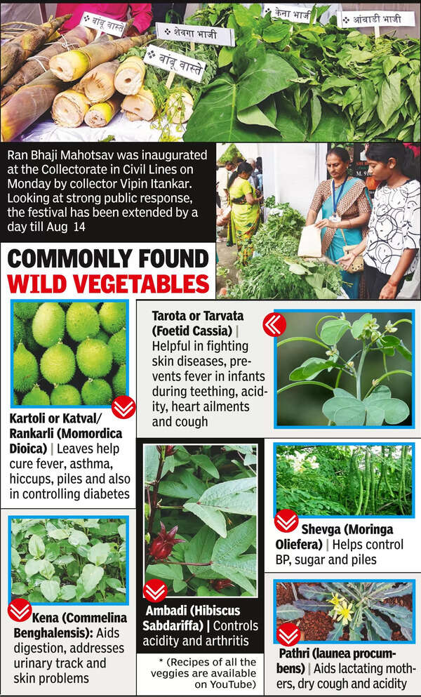 Wild Vegetables: Savour the Rich Taste of Nutritious Wild Vegetables in ...