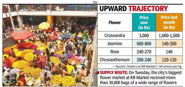 Flower Prices: Festival Flower Prices Surge in Bengaluru | Bengaluru ...