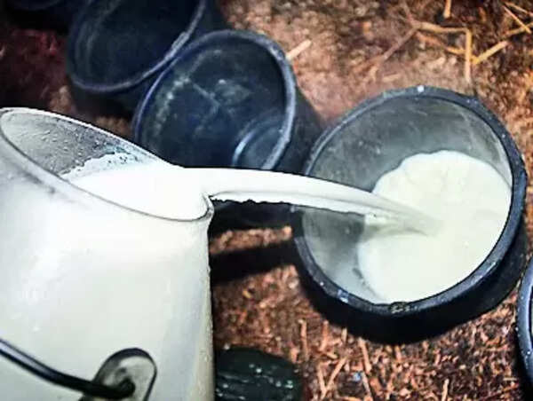 Food Adulteration: High Percentage of Milk and Milk Product Samples ...