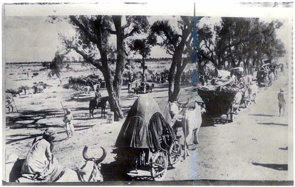 The Legacy of Partition Trauma: A Generational Perspective | Delhi News ...