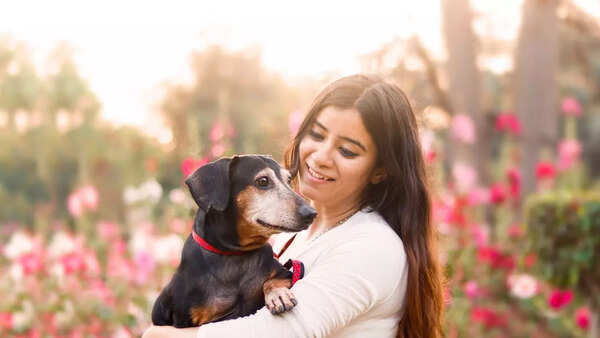 Pet parents turn to pros for pooches’ photo sessions - The Times of India