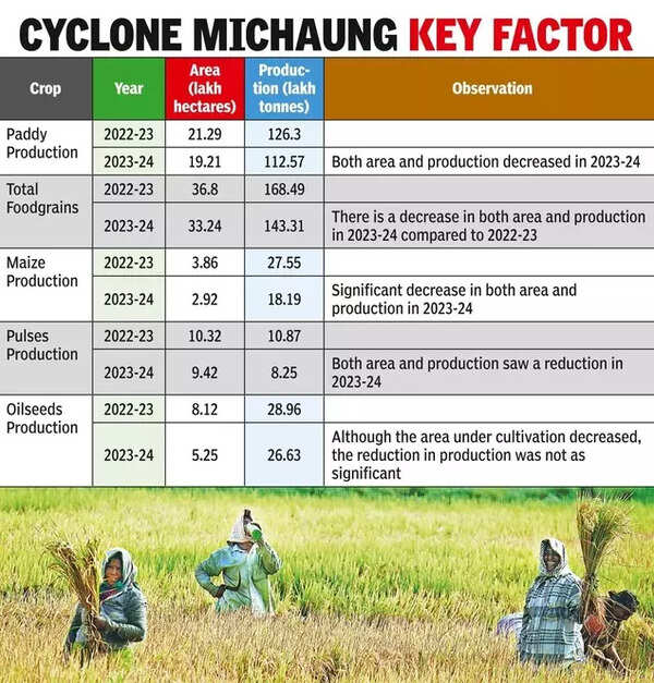 Food Grain Production: Andhra Pradesh Food Grain Production Decline ...