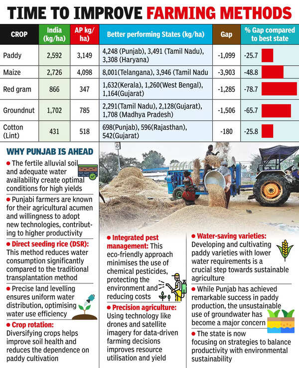 Andhra Pradesh: Andhra Pradesh's Paddy Yield Shortfall Compared to ...