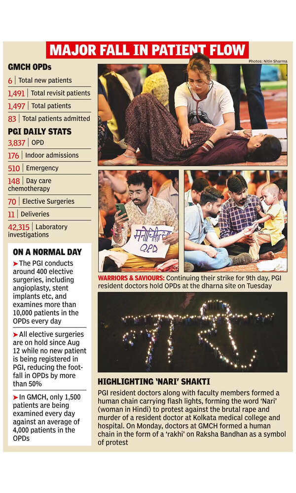 Doctors Strike: PGI Resident Doctors Conduct Road OPDs Amid Nationwide ...