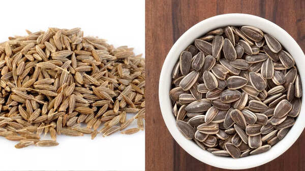 Mid Meal Snack Seeds: 8 Expertly backed seeds for a healthy mid-meal ...