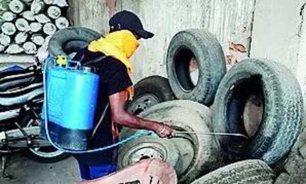 9 easy ways to reduce mosquito breeding sites around your home - Times ...