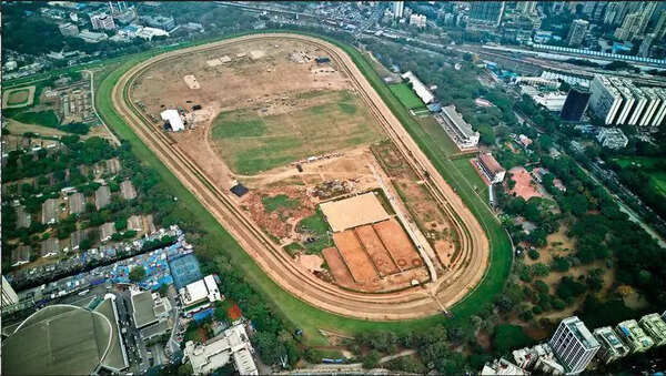 A starry day at the Mahalaxmi Race Course
