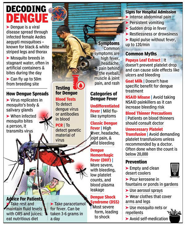 Dengue: Take Extra Care During Dawn and Dusk to Stay Safe from Dengue ...
