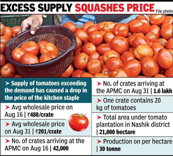 Tomatoes Wholesale Price Drop: Tomato Prices Drop by 60% in Nashik in ...