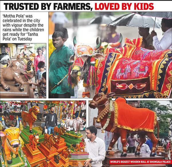 Tanha Pola: Traditions Come Alive: City Soaks In Pola, Kawad Fervour ...