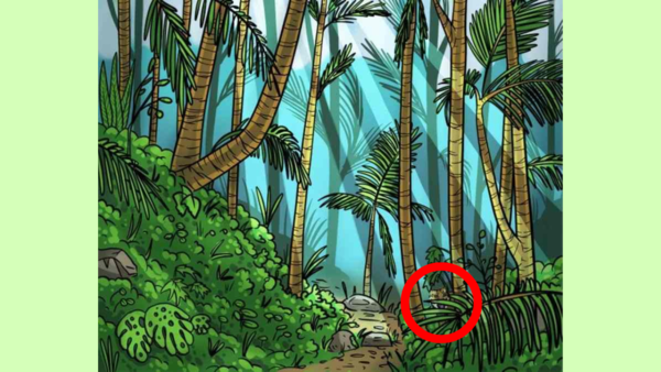 Optical Illusion: Only 2% people can spot the tiger in 6 seconds ...