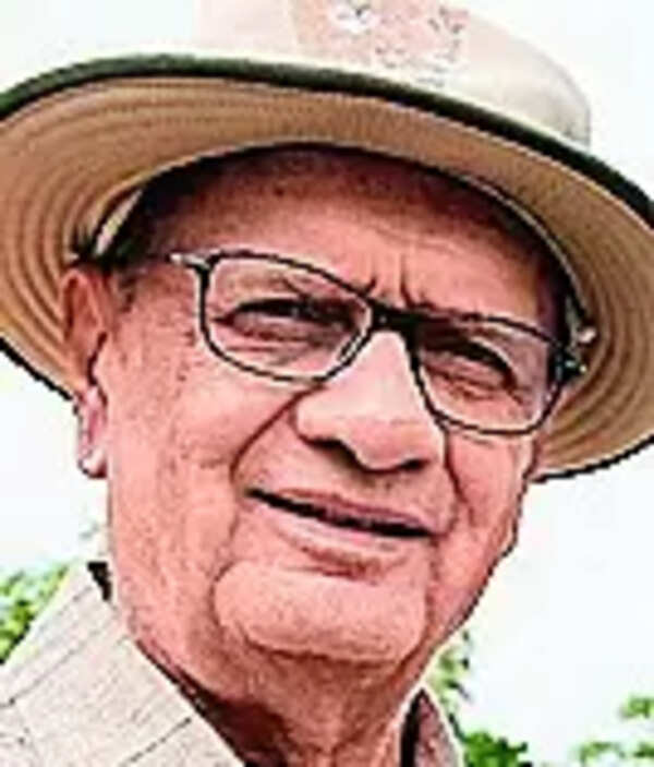 Vishwamitri: Vishwamitri River Development Project: Ministry Nod Before ...