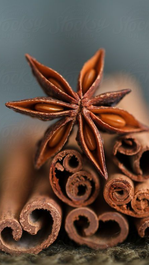 Retrospective: Decoding the amazing world of Satyajit Ray’s film posters