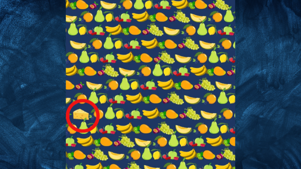 Opticle Illusion: Only foodies with sharp eyes can find the cheese in ...