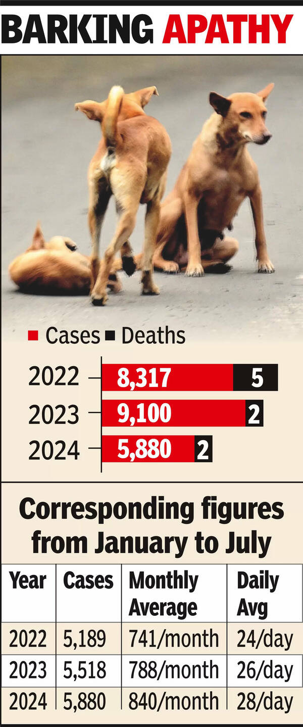 Stray Dogs: Stray Dog Menace: 28 People Attacked Daily, 5,880 Victims ...