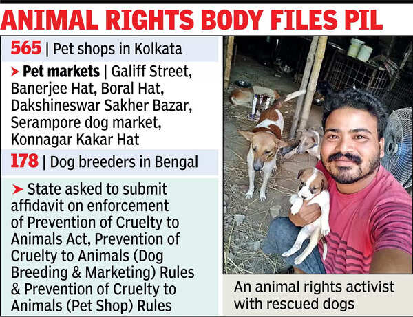 Uncontrolled Pet Breeding And Sale: Hc Asks State To File Affidavit ...