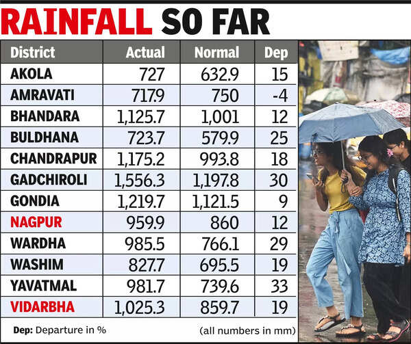 Moderate Rainfall Likely On Weekend | Nagpur News - Times of India