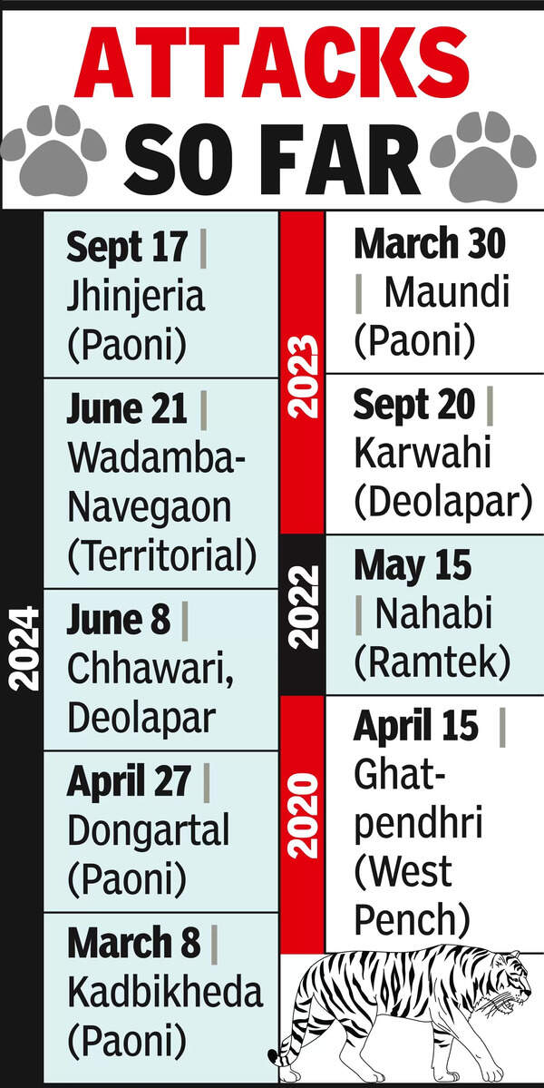 Pench Tiger Reserve: Pench Erupts After Tiger Mauls Woman, Villagers ...