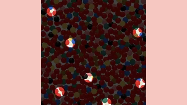 Puzzle: Love colours? Check your IQ level by solving this simple ...