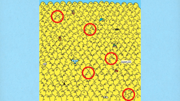 Test your eyesight: Only a few can spot lemons among these cute birds ...