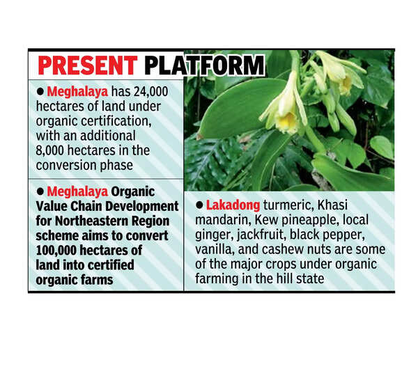 Meghalaya: Sustainable Agriculture: Meghalaya Leads Organic Farming ...