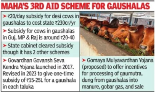 Maharashtra subsidy for cows tops Gujarat, Madhya Pradesh and Rajasthan ...