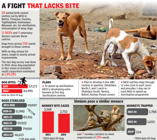 Stray Dog Crisis in Delhi: MCD's Struggle to Control Population and ...